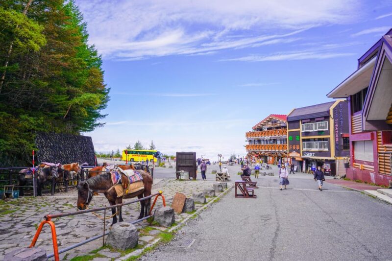 From Tokyo: Mt. Fuji Day Tour W/ Private Car & Nature Guide - Tour Inclusions and Important Information