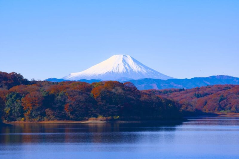 From Tokyo: Mt Fuji Day Trip With English Speaking Chauffeur - Important Information