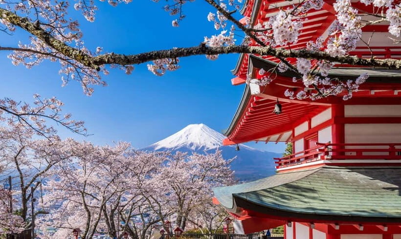 From Tokyo: Mt. Fuji Five Lakes Private Tour with Guide - Exploring the Japan’s Iconic Mount Fuji and the Five Lakes: A Practical Guide to the Private Tour