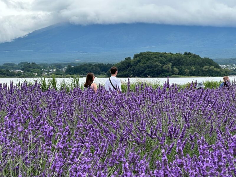 From Tokyo: Mt.Fuji & Gotemba Outlets Private Day Trip - Important Information and Restrictions