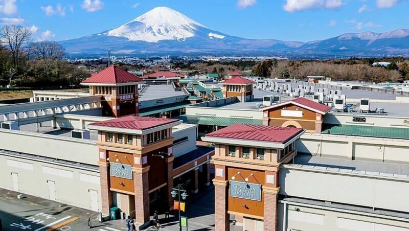 From Tokyo: Mt.Fuji & Gotemba Outlets Private Day Trip - Customization and Flexibility