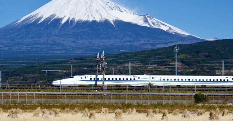 From Tokyo: Mt. Fuji & Hakone Tour W/ Return by Bullet Train - Itinerary Highlights