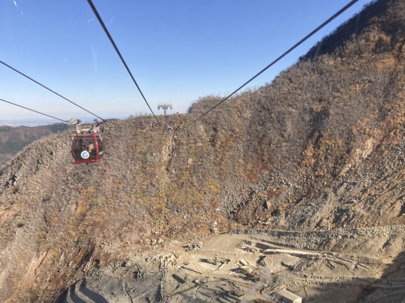 From Tokyo: Mt. Fuji & Hakone Tour W/ Return by Bullet Train - Getting to the Meeting Point
