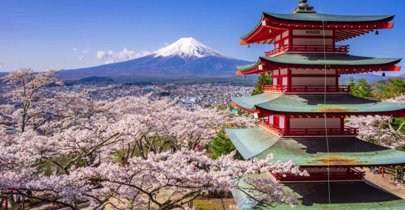 From Tokyo: Mt. Fuji or Hakone Private Sightseeing Day Trip - Key Points
