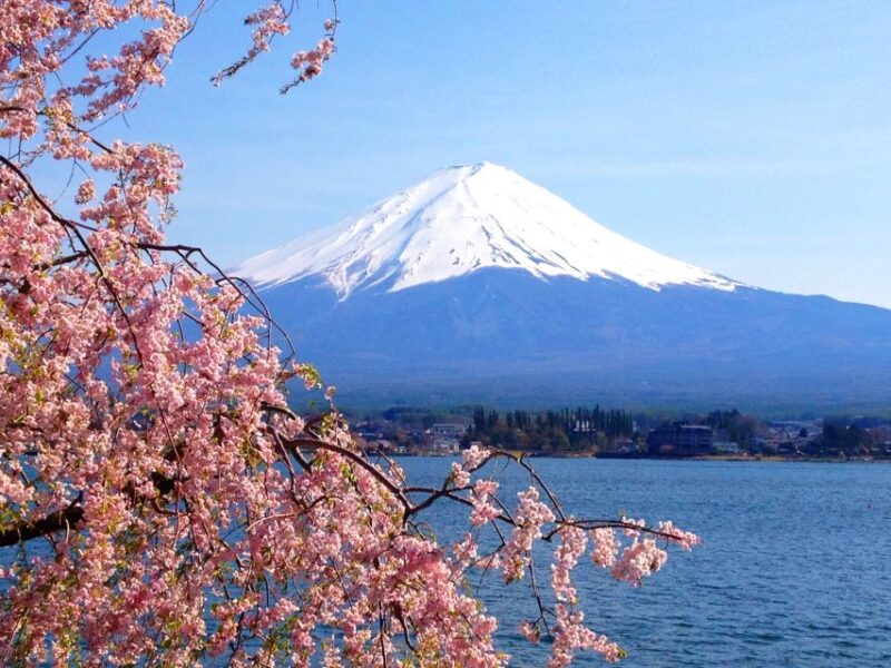From Tokyo: Mt. Fuji or Hakone Private Sightseeing Day Trip - Hakone Itinerary Highlights