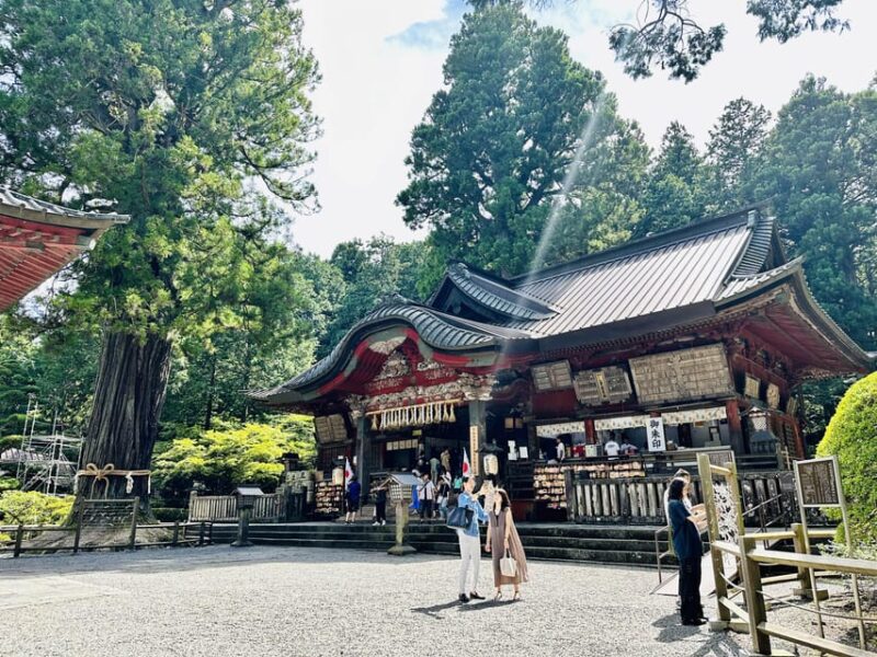 From Tokyo: Mt. Fuji or Hakone Private Sightseeing Day Trip - Exclusions