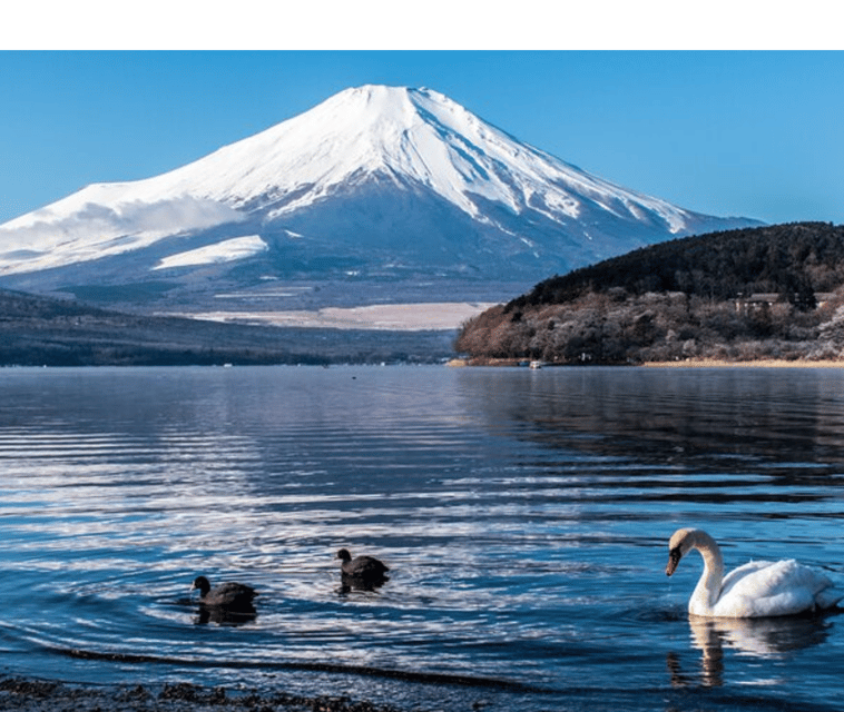 From Tokyo: Mt Fuji Private Day Tour In Land Cruiser ZX - Pickup and Accessibility