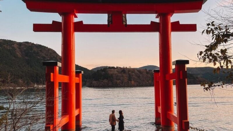 From Tokyo: Mt Fuji Private Day Tour In Land Cruiser ZX - Luxury Experience and Amenities