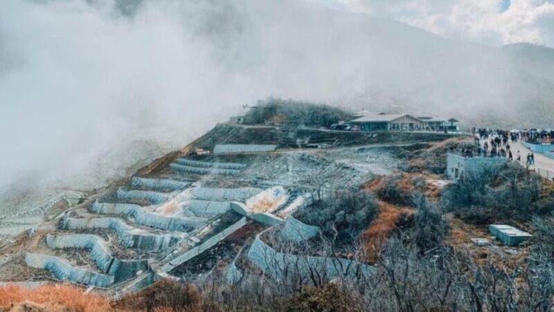 From Tokyo: Mt Fuji Private Day Tour In Land Cruiser ZX - Customer Reviews and Ratings