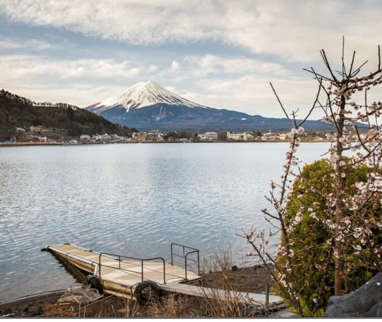 From Tokyo: Mt Fuji Private Day Tour In Luxury Land Cruiser - Key Points