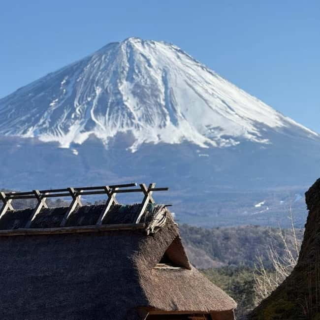 From Tokyo: Mt Fuji Private Day Tour In Luxury Land Cruiser - Practical Details: What You Need to Know