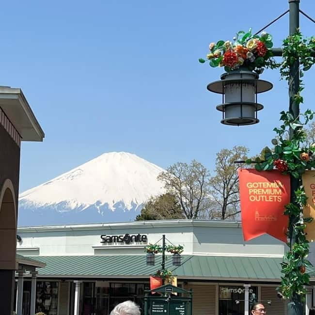 From Tokyo: Mt Fuji Private Day Tour In Luxury Land Cruiser - FAQs