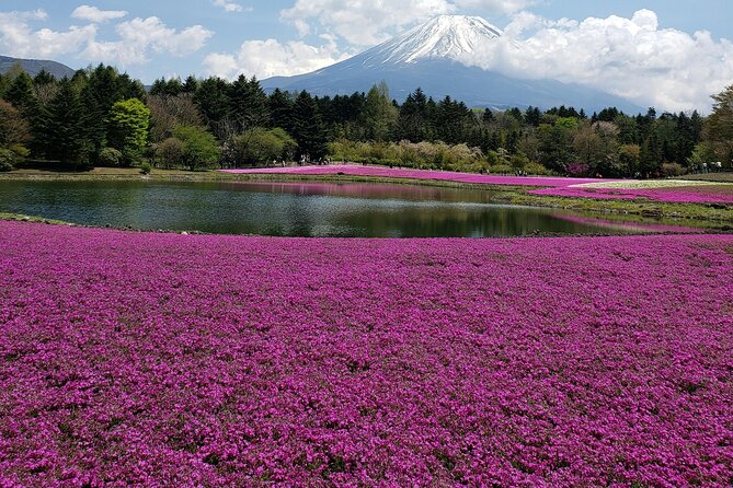 From Tokyo-Mt Fuji PVT 1 Day Customized Tour With English Driver - Traveler Experiences and Feedback