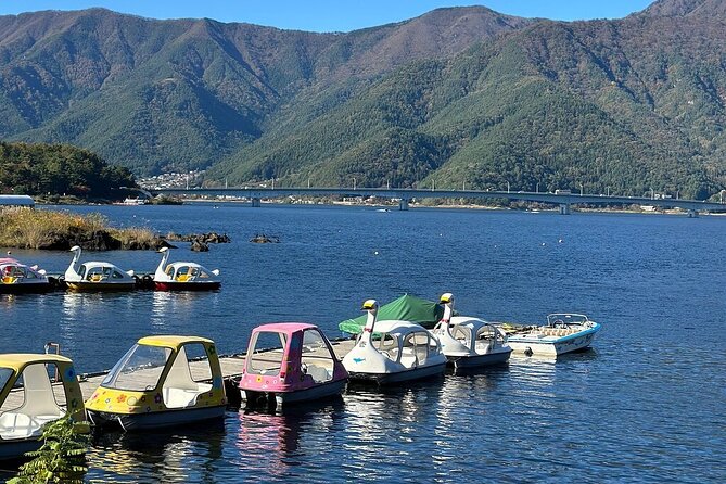 From Tokyo-Mt Fuji PVT 1 Day Customized Tour With English Driver - Insider Tips and Recommendations