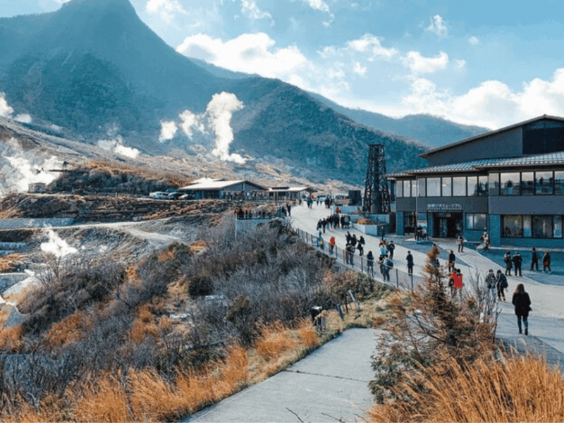 From Tokyo: Mt Fuji Sightseeing Day Tour With English Guide - Key Points