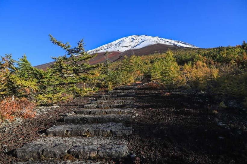 From Tokyo: Mt. Fuji Trekking 1-Day Tour (English Guide) - Practical Details: What Makes This Tour Worth It