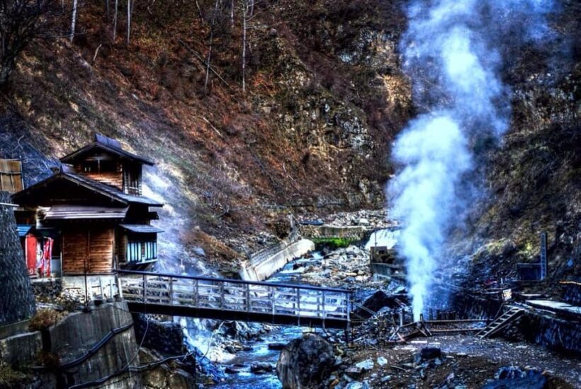 From Tokyo: Nagano Full Day Private Snow Monkey Park Tour - An In-Depth Review of the Nagano Full Day Private Snow Monkey Park Tour