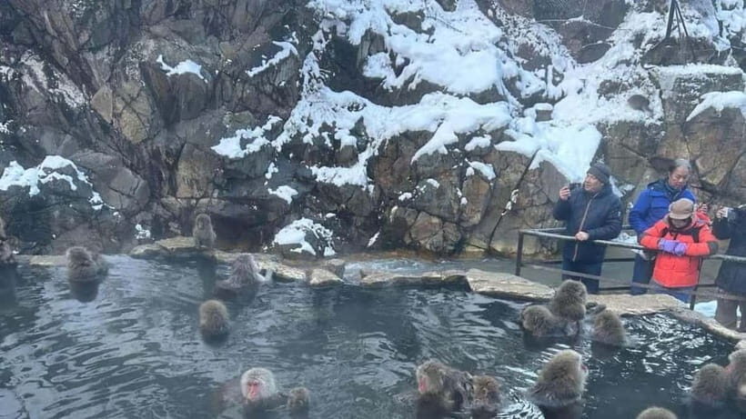 From Tokyo/Nagano: Luxury Snow Monkey Private Full-Day Tour - Who Is This Tour Best For?