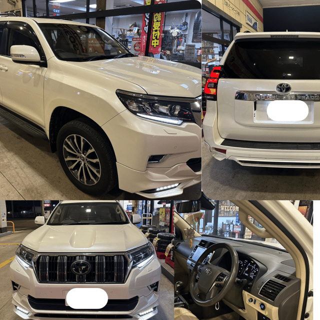 From Tokyo/Nagano: Luxury Snow Monkey Private Full-Day Tour - Key Points