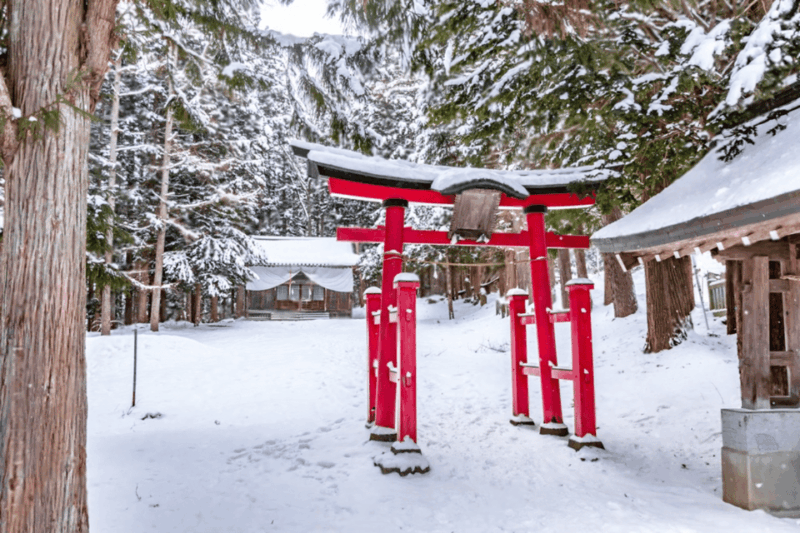 From Tokyo: Nagano, Monkeys, Zenkoji Temple Private Day Trip - Key Points