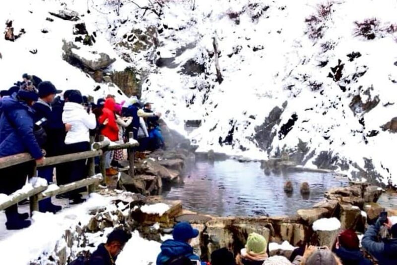 From Tokyo: Nagano Snow Monkey Park Full-Day Private Tour - Additional Features