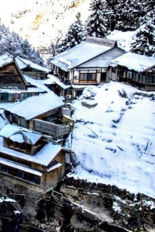 From Tokyo: Nagano Snow Monkey Park Full-Day Private Tour - Exploring Jigokudani Monkey Park