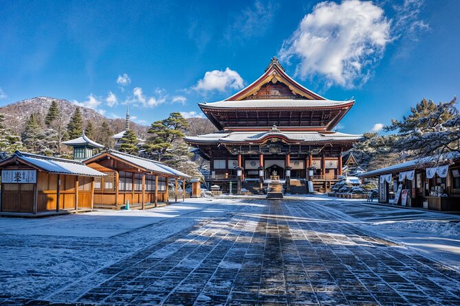 From Tokyo: Nagano Snow Monkey Park Private Tour - Itinerary and Highlights
