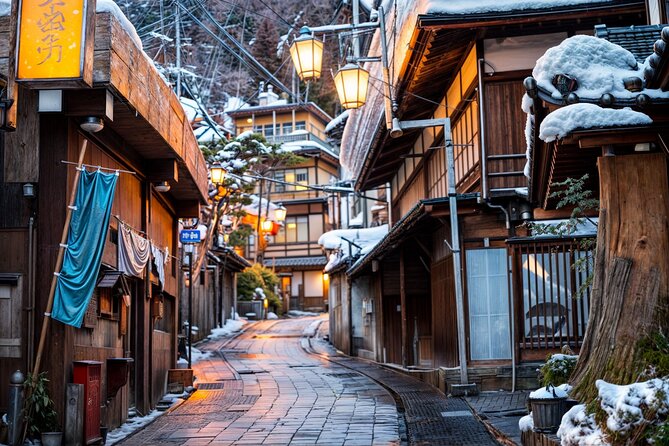 From Tokyo: Nagano Snow Monkey Park Private Tour - What to Expect