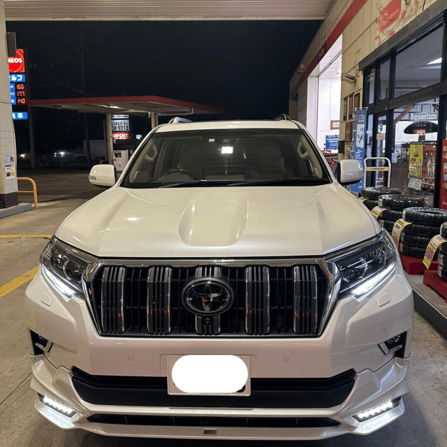 From Tokyo & Nagano: Snow Monkey Park Private Tour In Prado - Itinerary Highlights