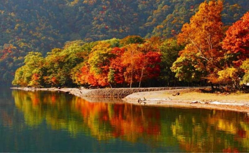 From Tokyo: Nagano, Zenkoji Temple, Snow Monkeys Day Trip. - Visiting the Hokusai Museum