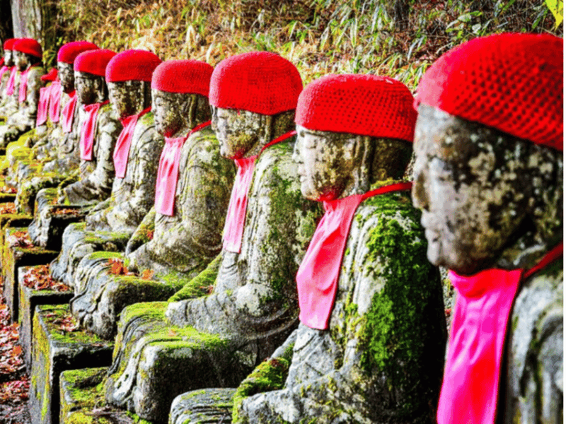 From Tokyo: Nikko Customised Private 1 Day Sightseeing Tour - Key Points