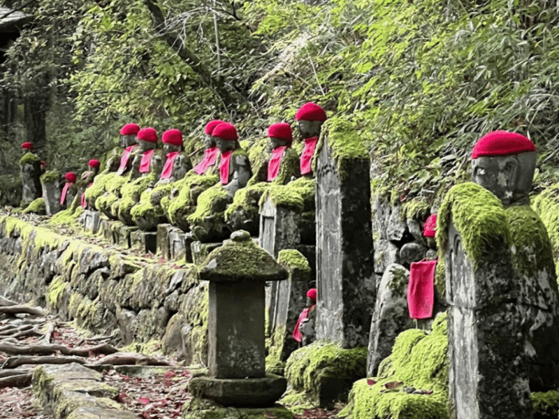 From Tokyo: Nikko Customised Private 1 Day Sightseeing Tour - Transportation and Accessibility
