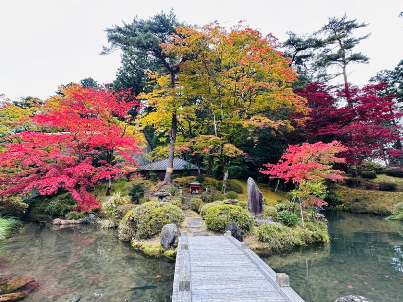 From Tokyo: Nikko Customize private Tour With English Driver - Key Points