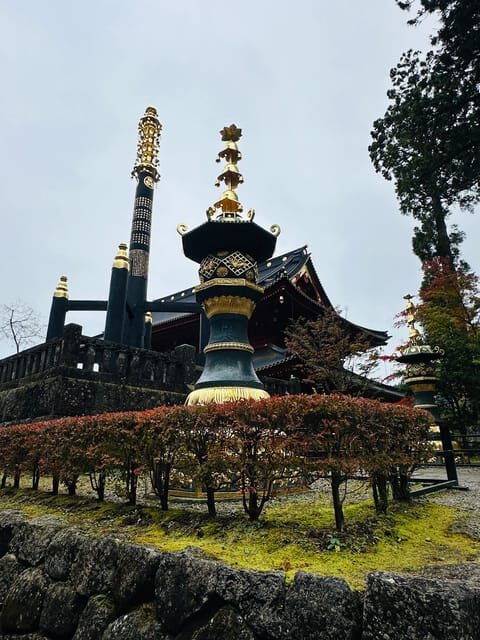 From Tokyo: Nikko Customize private Tour With English Driver - An In-Depth Look at the Tour Experience