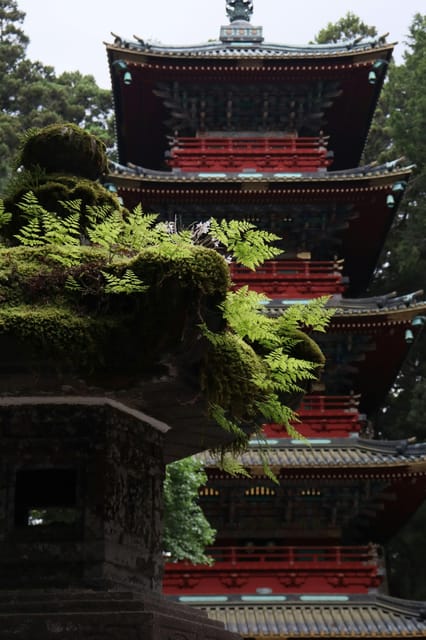 From Tokyo: Nikko Customized Private English Full-Day Trip - Transportation and Amenities