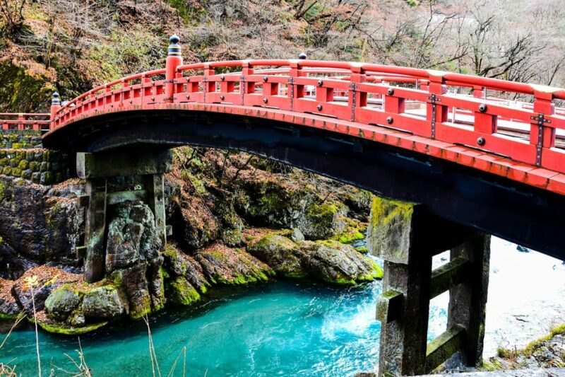 From Tokyo: Nikko Customized Private English Full-Day Trip - Customizable Options