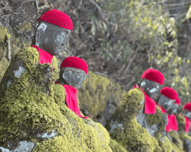 From Tokyo: Nikko Day Trip With Toshogu Shrine and Waterfall - Itinerary and Highlights