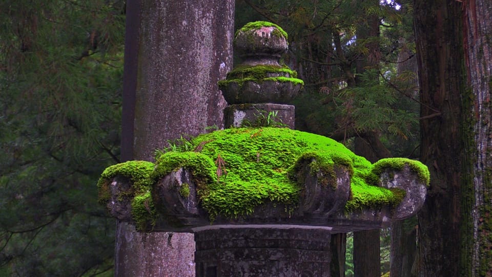 From Tokyo: Nikko Full Day Private Sightseeing Tour - Itinerary Highlights