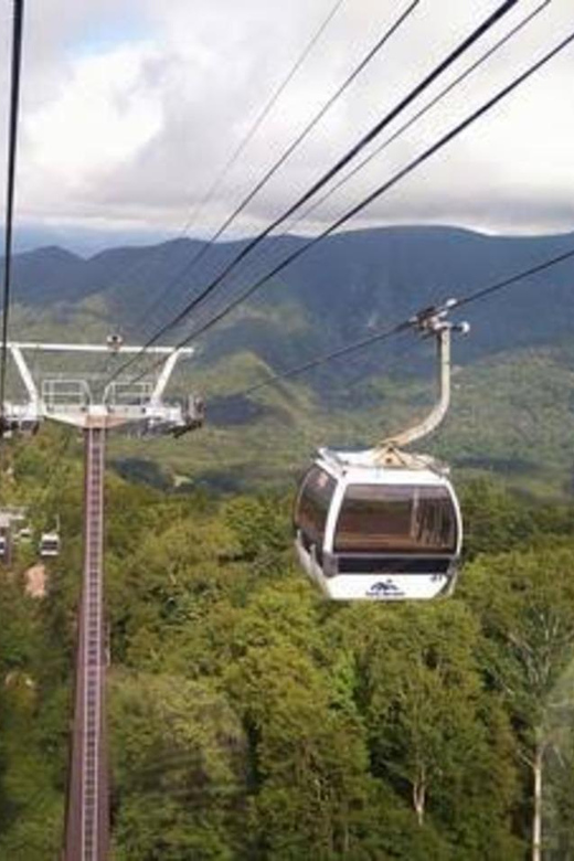 From Tokyo: Nikko Luxury Tour With English-Speaking Guide - Itinerary Highlights