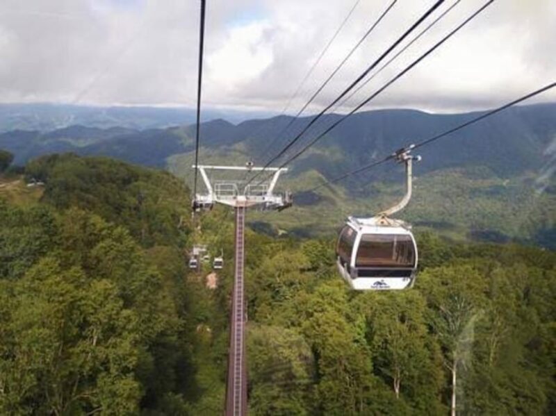 From Tokyo: Nikko Luxury Tour With English-Speaking Guide - Natural Attractions