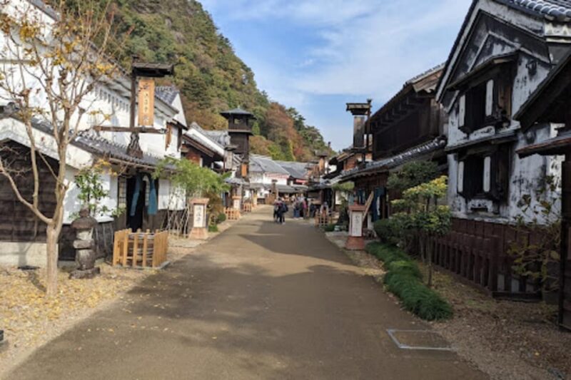 From Tokyo: Nikko Luxury Tour With English-Speaking Guide - Getting to Nikko From Tokyo