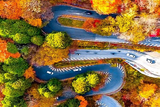 From Tokyo: Nikko Private 1-Day Sightseeing Trip With Guide - Accessibility Features