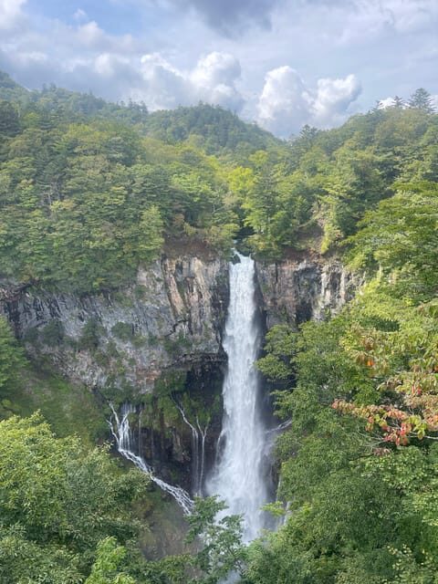 From Tokyo: Nikko private Customize Tour With English Driver - Why Travelers Love This Tour