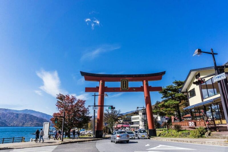 From Tokyo: Nikko Private Day Trip With English Guide - Tour Features