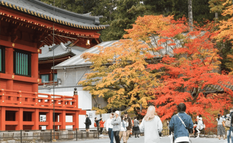 From Tokyo: Nikko Private Full-Day Sightseeing Day Trip . - Key Points
