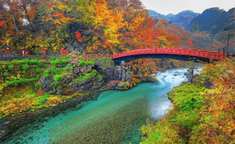 From Tokyo: Nikko Private Full-Day Sightseeing Day Trip . - Transportation and Accessibility