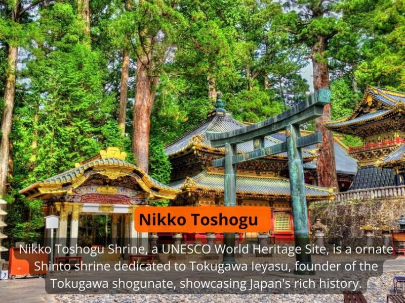 From Tokyo: Nikko Private Full-Day Sightseeing Day Trip . - Toshogu Shrine