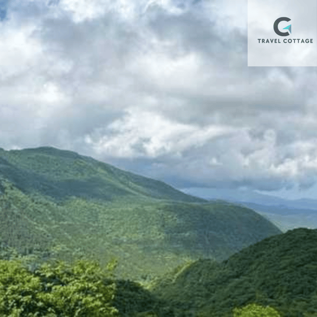 From Tokyo; Nikko Private Full Day Tour Hotel Pick-Up By Car - Itinerary Highlights