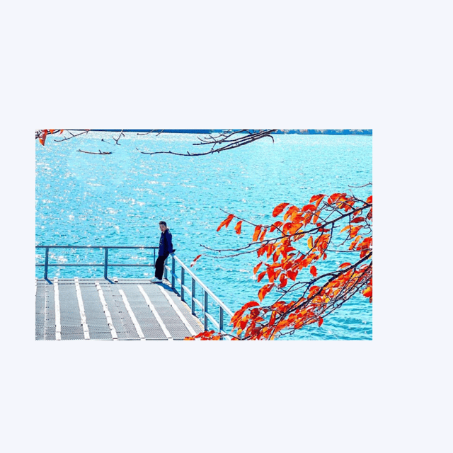 From Tokyo; Nikko Private Full Day Tour Hotel Pick-Up By Car - Inclusions and Exclusions