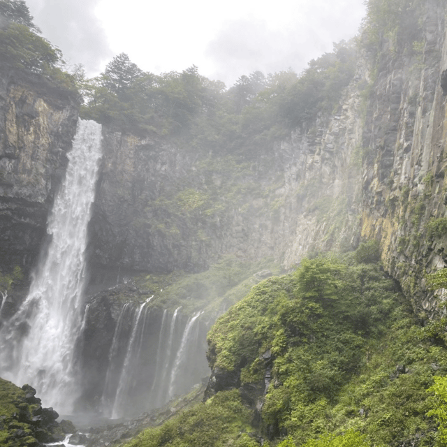 From Tokyo: Nikko Private Tour In Luxury Prado Lowest Price - Pickup and Accessibility